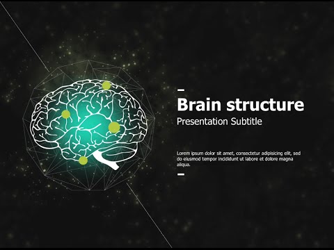 Brain Structure Animated PPT