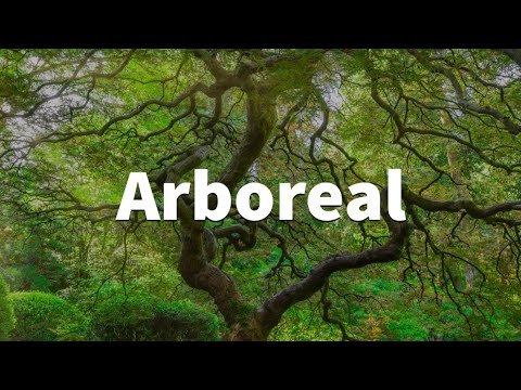Arboreal Meaning & Example Sentence