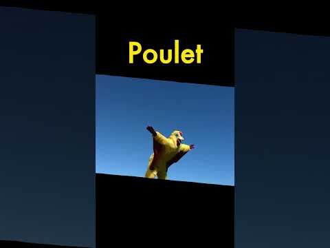 Pok Pok 🇫🇷 Chicken 🇫🇷 in French 🐓🍗 #shorts #chicken #learnfrench