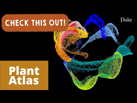 Plant Atlas | Check This Out!