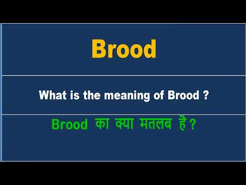 Brook meaning in Hindi | Brook ka kya matlab hota hai | daily use English words