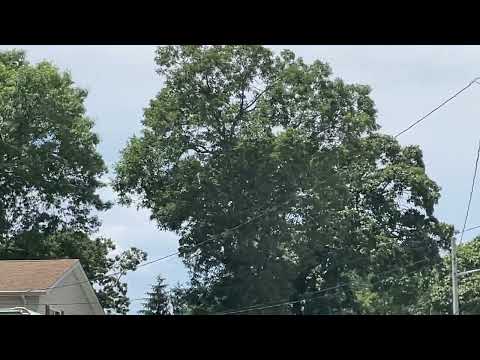 3 bladed Socata TB-30 Epsilon (N130KL) departing from Brookhaven Calabro Airport over my house