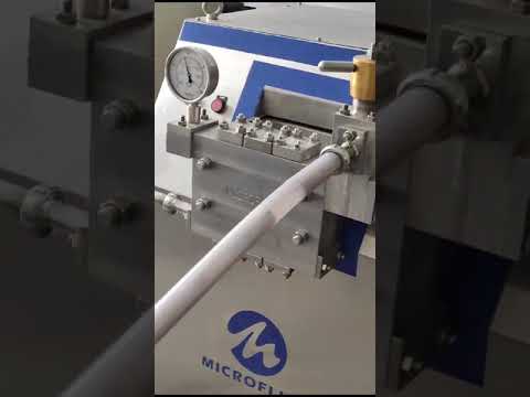 Milk & Dairy Homogenizer and Homogenizer Spare Parts Manufacturer | Microfluid Process Equipment ...