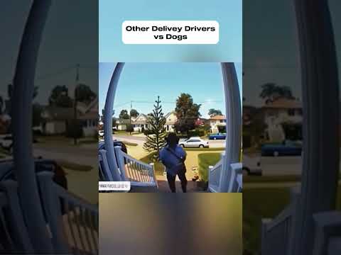Other Delivery Drivers VS This Man #deliveryboy #thisman #dogs