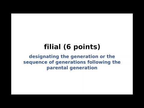 New York Times NYT Spelling Bee Answers and Solution for May 18, 2025