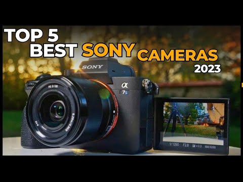 TOP 5 Best Sony Cameras 2024 | Best Mirrorless Cameras [don’t buy one before watching this]