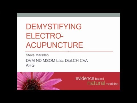 Steve Marsden Demystifying Electroacupuncture Preview