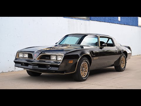 Bandit Trans Am Survivor