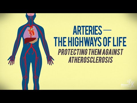 Arteries—The Highways of Life: Protecting Them Against Atherosclerosis