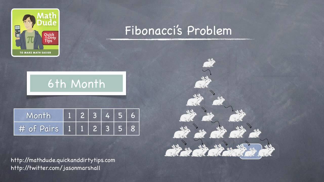 Math Dude 016 • Video Extra! • The Fibonacci Sequence...and Rabbits!