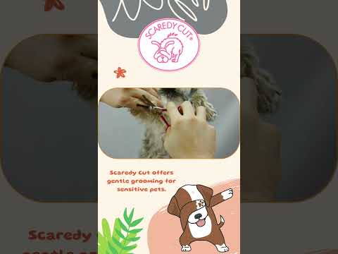 Keep your pet looking their best without the hassle of professional grooming appointments!