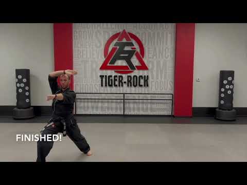 Ho-am Form: Brown Belt Section