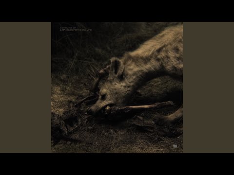 Yar (Michna Remix)