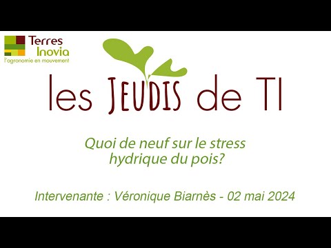 Jeudi de TI - Quoi de neuf sur le stress hydrique du pois ?