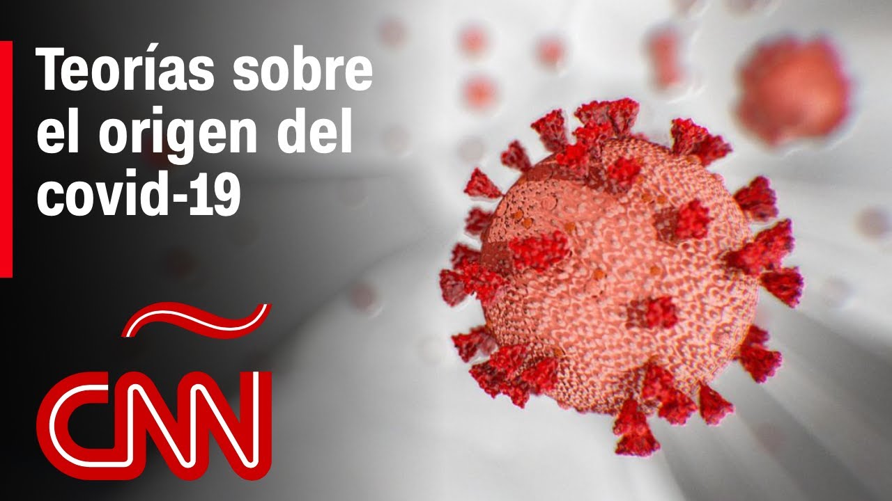 ¿Cuál es el origen del covid-19? Estas son las dos teorías más aceptadas por la Casa Blanca