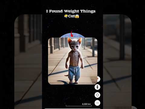 I Found Weight Things Cat 😱 On Google Map And Google Earth🌎 #shorts #youtubeshorts #explore #mystery