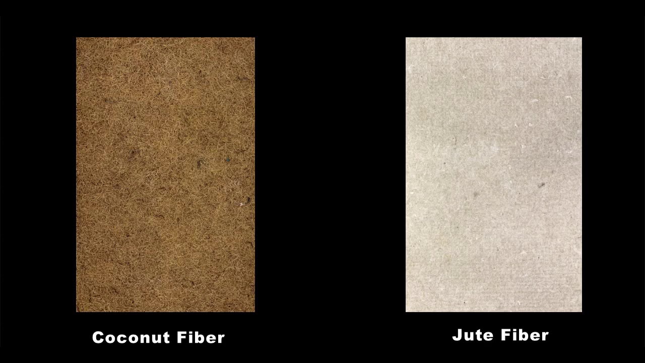 The comparison of Coco fibre VS Jute fibre
