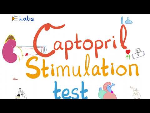 ACE Inhibitor Stimulation Test (Captopril Stimulation Test) - Renal Artery Stenosis - Hypertension