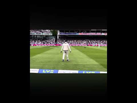 Barmy army chant at lords (Steve smith) (my vid just on different channle I have)