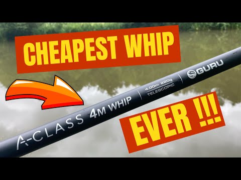 Guru A Class 4M Whip Review (The CHEAPEST Way To Get Fishing)