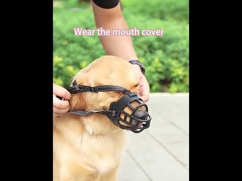 The mouth cover of dog