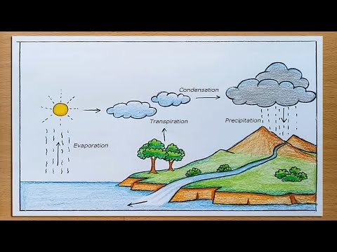 How to draw Water Cycle of a School Project