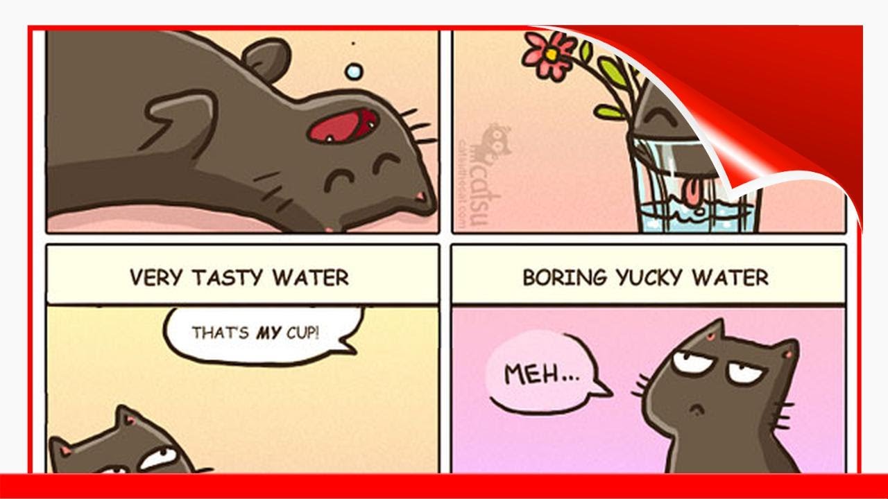 101 Comics That Purrfectly Capture Life With Cats ☺️