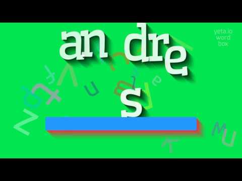 How to say "andres"! (High Quality Voices)