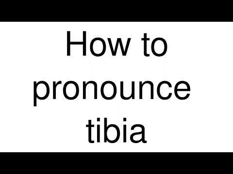 How to Pronounce "tibia" (Spanish)