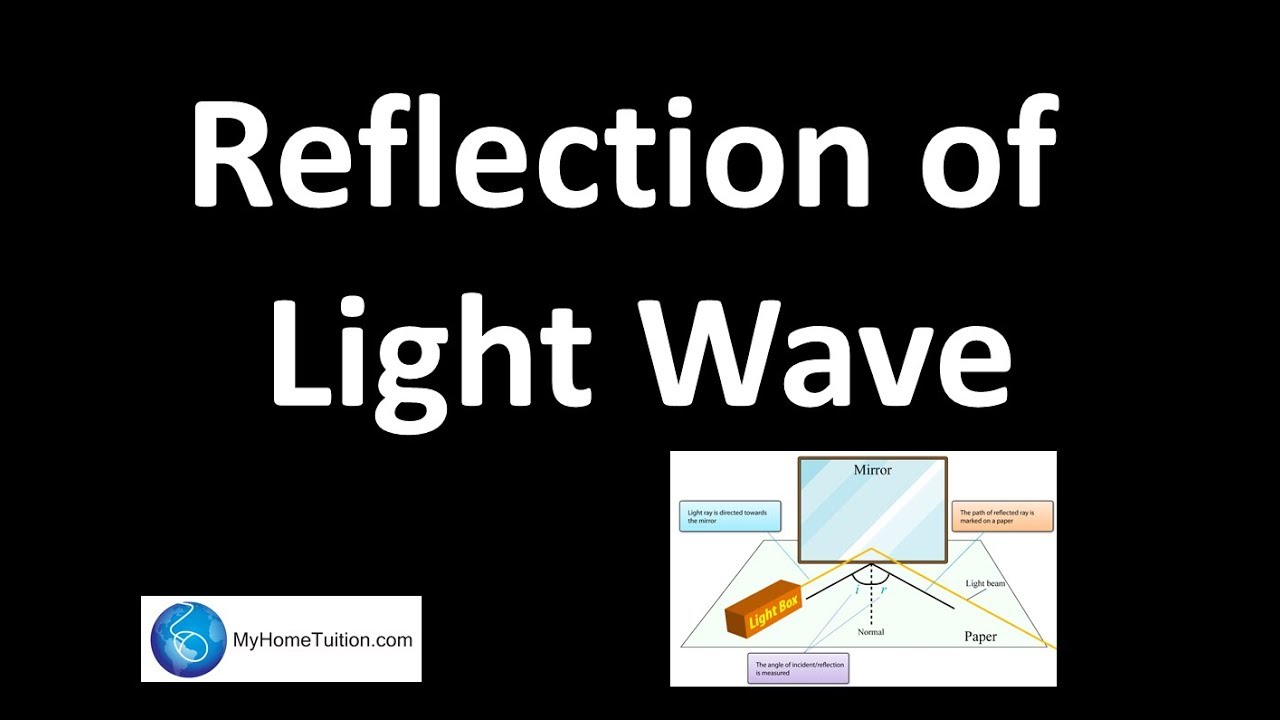 Reflection of Light Wave | Waves