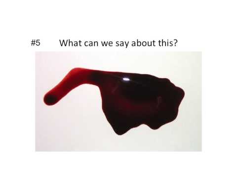 blood spatter assignment