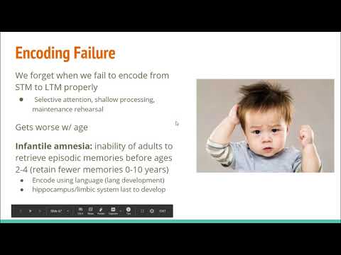 4.6 - Forgetting and False Memories - AP Psychology