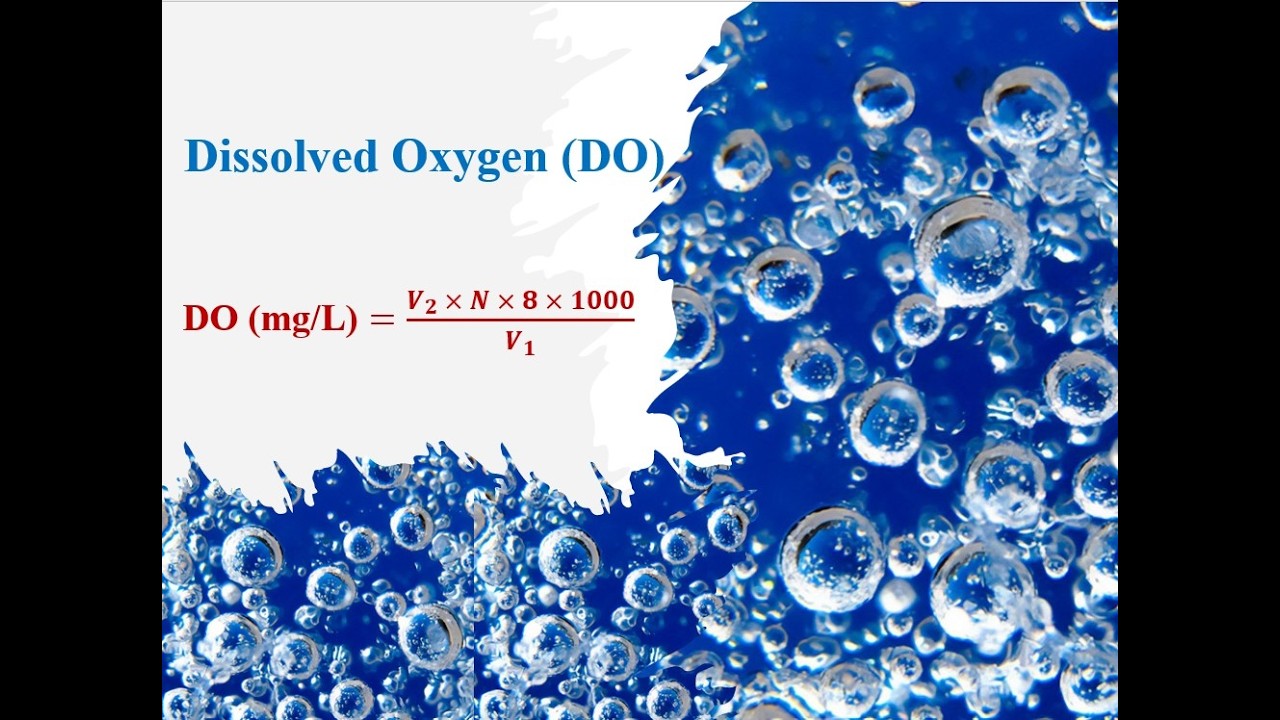 Dissolved Oxygen (DO) –What is DO?, Numerical on DO