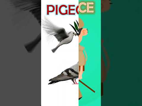 #shorts Beautiful animated birds, animals things whose name starts from letter P. #english #alphabet