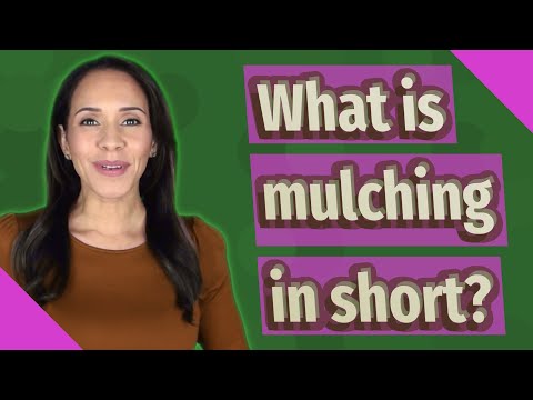 What is mulching in short?