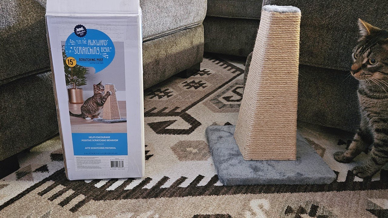 Whisker City Cat Scratching Post Review: A+