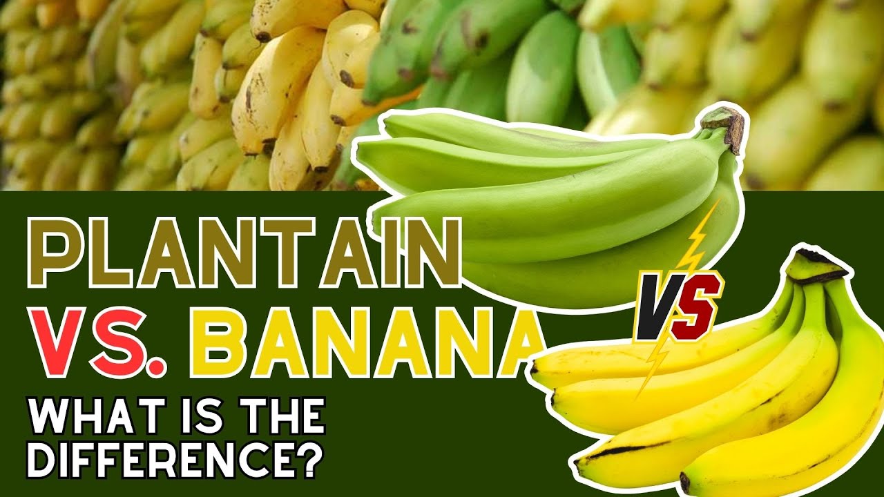 Plantain vs Banana: What’s the REAL Difference?