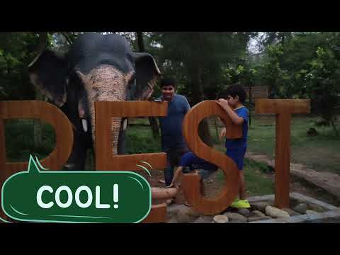 Holiday fun with Kush and Mishu @Tanveerbhavi Tree park|| Kids traveling vlog