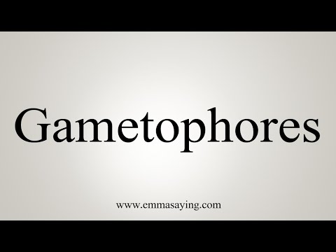 How To Say Gametophores