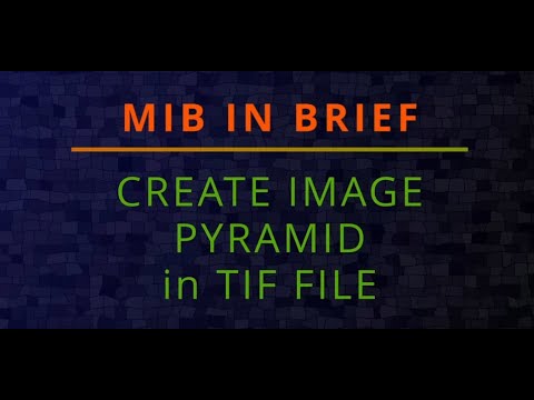 MIB Brief: Create an image pyramid in TIF file