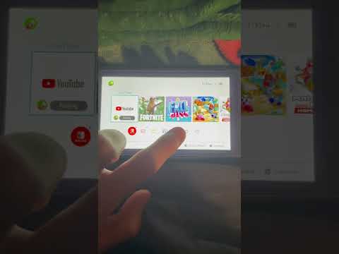 How to Connect a Controller to a Switch Lite