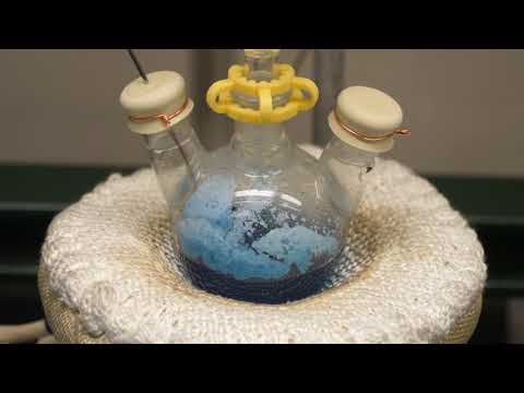 ChemCatBio Webinar Series: Accelerating the Catalyst Development Cycle