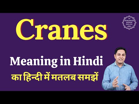 Cranes meaning in Hindi | Cranes ka matlab kya hota hai