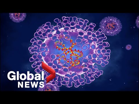 What is monkeypox? The symptoms, how it's spread, and risk to the public