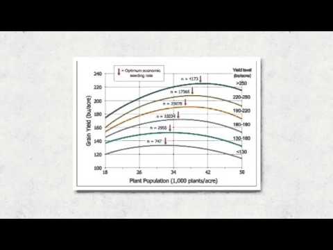 Determining the Correct Planting Population