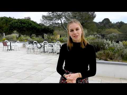 Global BBA | SKEMA BUSINESS SCHOOL