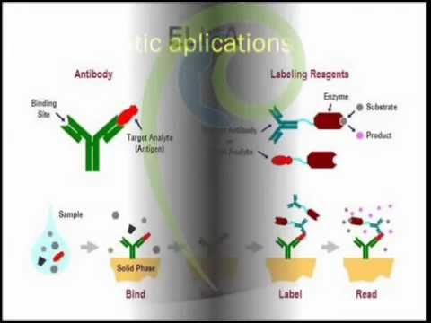 APPLICATION OF MONOCLOAL ANTIBODIES