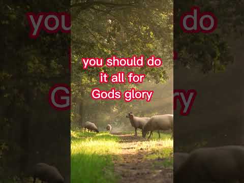 1 Corinthians 10:31 "You Should Do It All for God's Glory."
