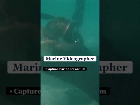 Jobs in Marine Science (Part 2) 🐠🤍 #marinescience