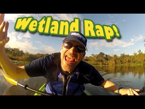 The Wetland RAP! Ecosystem Song for Kids by Singing Zoologist Lucas Miller